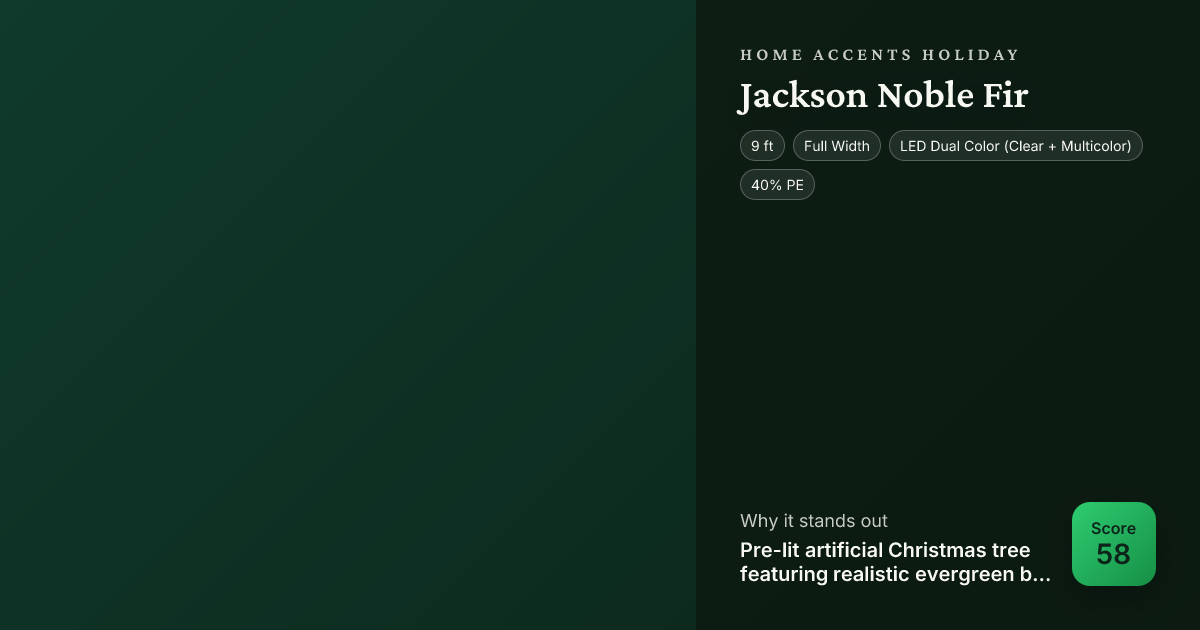 Home Accents Holiday Jackson Noble Fir 9 ft — Review (2025) | Christmas ...